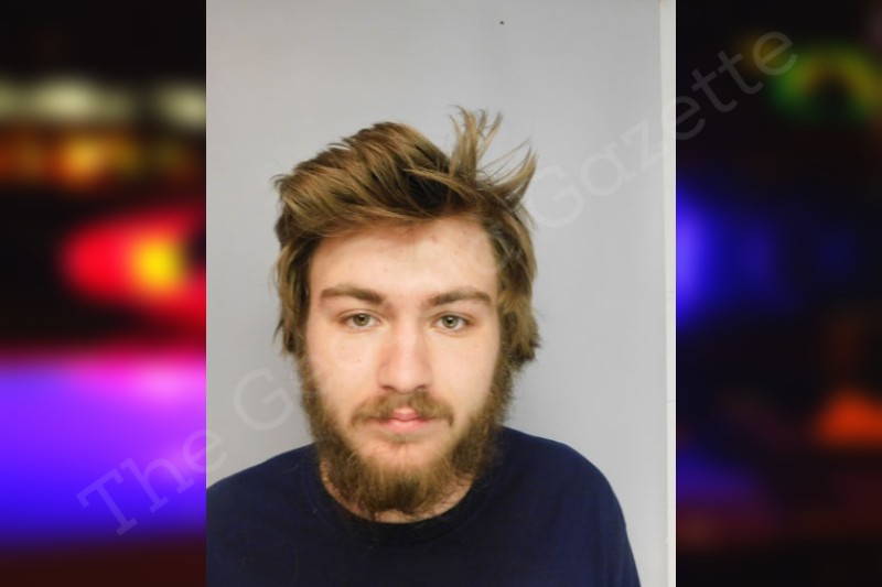 Jesse Buffington — Hall County Jail Bookings