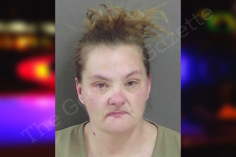 Theresa Burrill — Gordon County Jail Bookings