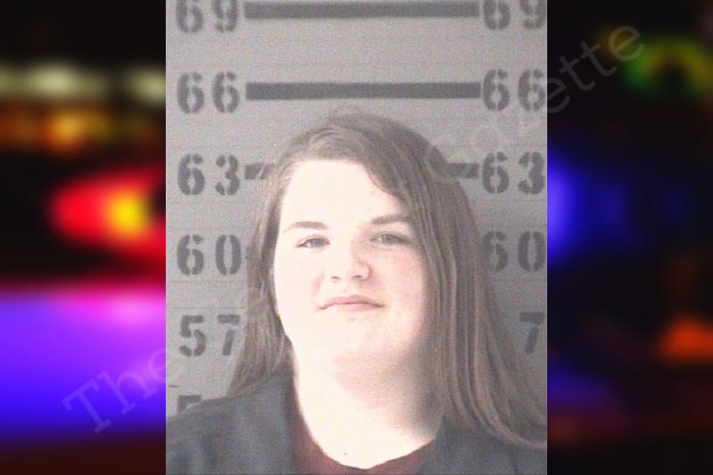 Hannah Banks — Dougherty County Jail Bookings