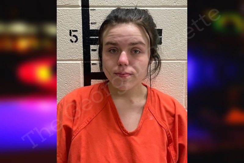Brittany Bice — Murray County Jail Bookings