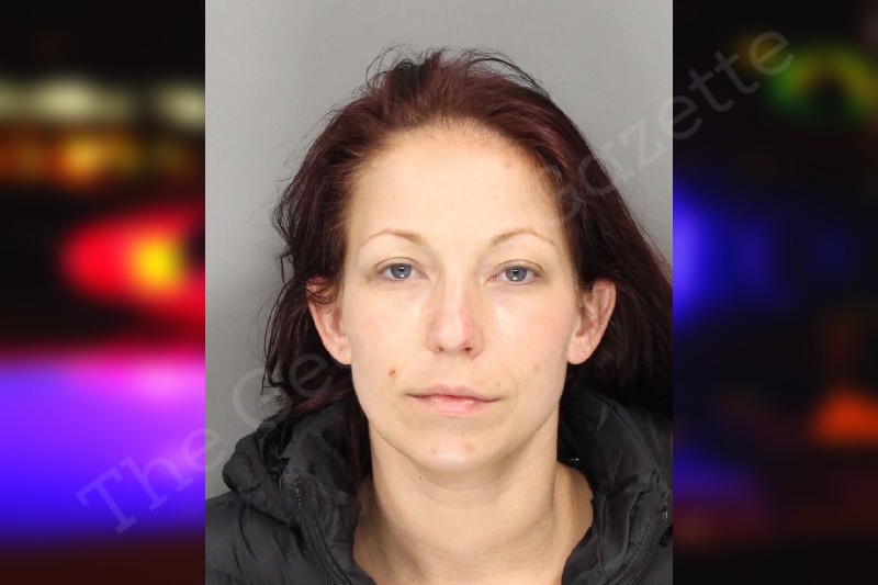 Samantha Blevins — Cobb County Jail Bookings