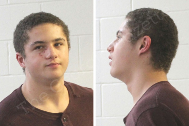 Jordan Bonner — Houston County Jail Bookings