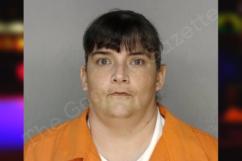 Brandy Paulsen — Bibb County Jail Bookings