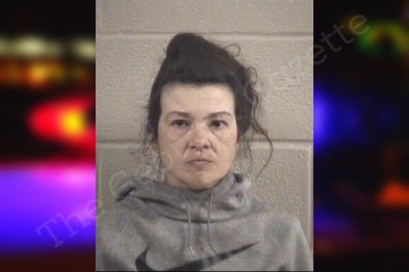 Breia Barnes — Whitfield County Jail Bookings