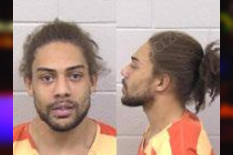 Bryson Brindle | Paulding County Jail Bookings