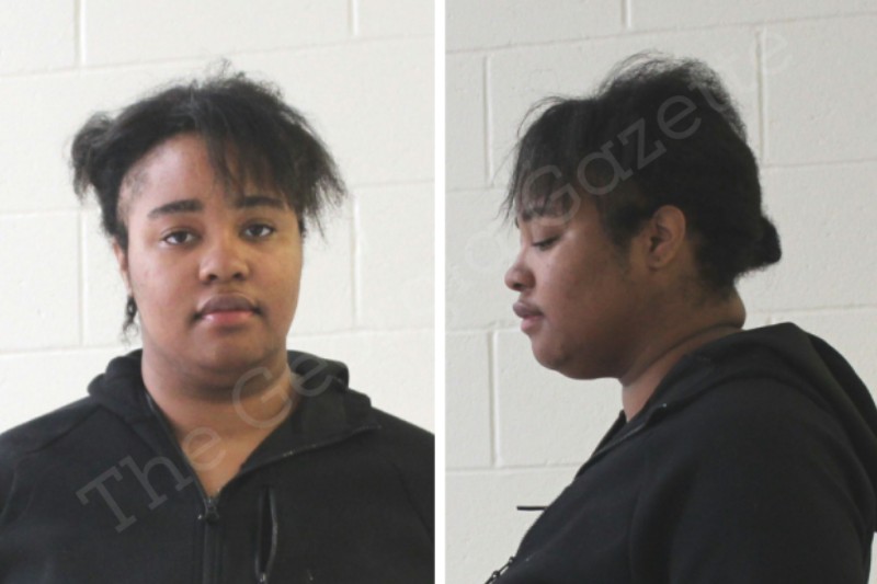 Tyesha Brown — Houston County Jail Bookings