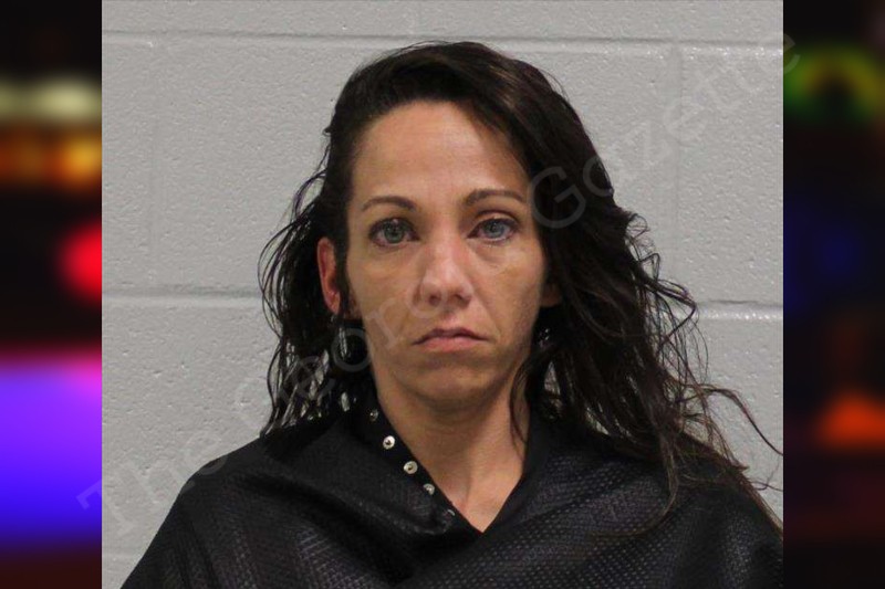 Ashley Corbin — Carroll County Jail Bookings