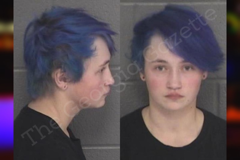 Jordan Cagle — Barrow County Jail Bookings