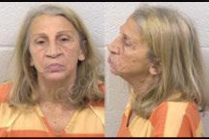 Emily Caldeira — Paulding County Jail Bookings