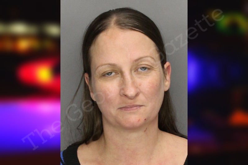 Lisa Caston — Cobb County Jail Bookings