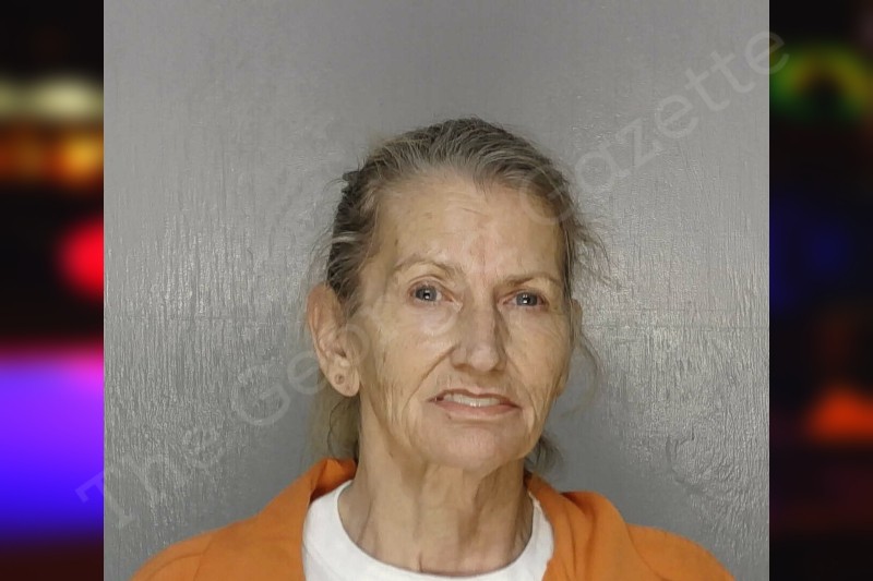Catherine Arnett — Bibb County Jail Bookings