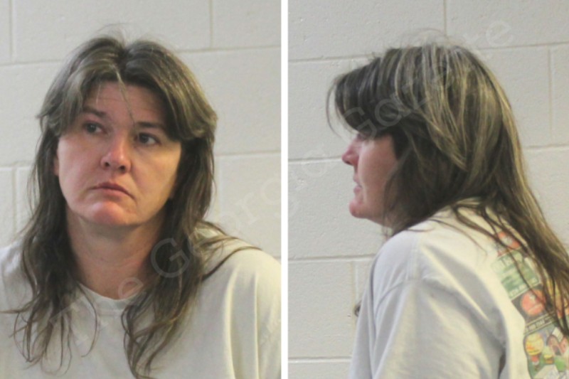 Brenda Coleman — Houston County Jail Bookings