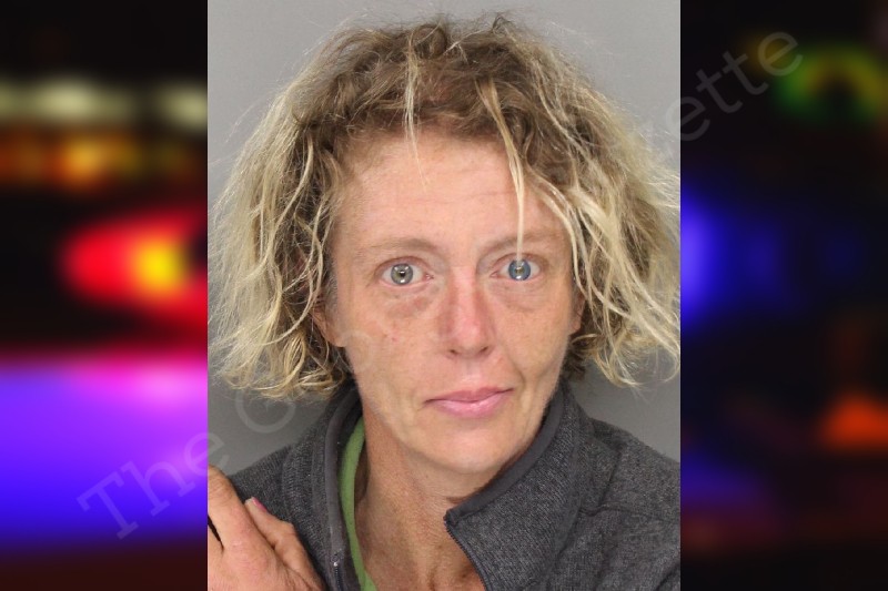 Jennifer Cronin — Cobb County Jail Bookings