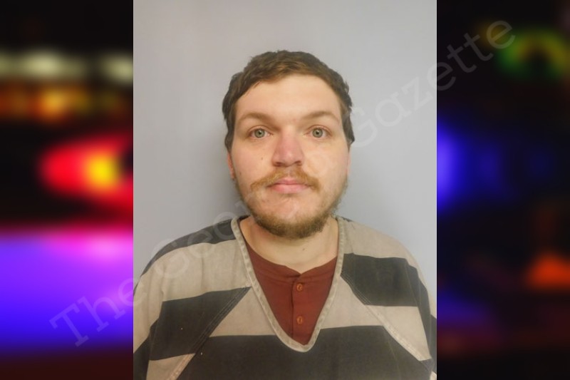 David Delong — Hall County Jail Bookings