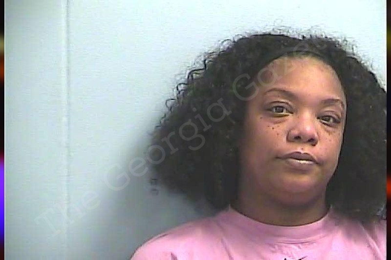 Erica Dillard — Dawson County Jail Bookings