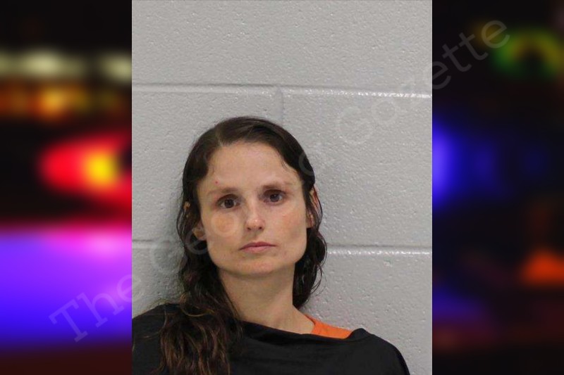 Brittany Dutton — Carroll County Jail Bookings