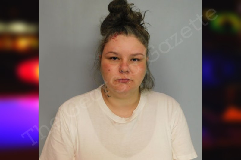 Kristy Dyer — Hall County Jail Bookings