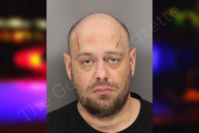 Matthew Davidson — Cobb County Jail Bookings