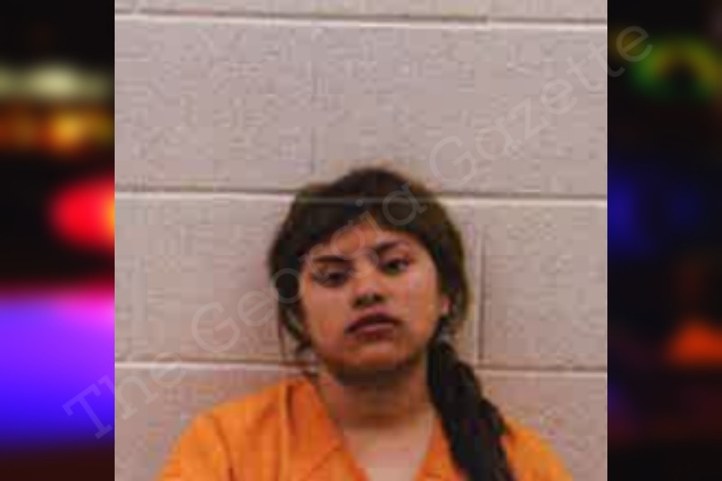 Rodi Domingo — Pickens County Jail Bookings