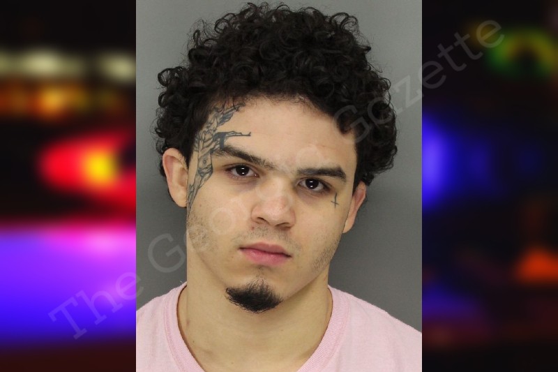 Bryce Dowell — Cobb County Jail Bookings