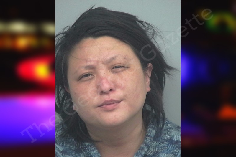 Sandra Feng — Gwinnett County Jail Bookings