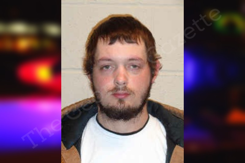 Brandon Gaylor — Henry County Jail Bookings