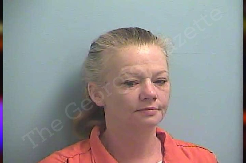 Debbie Gee — Dawson County Jail Bookings