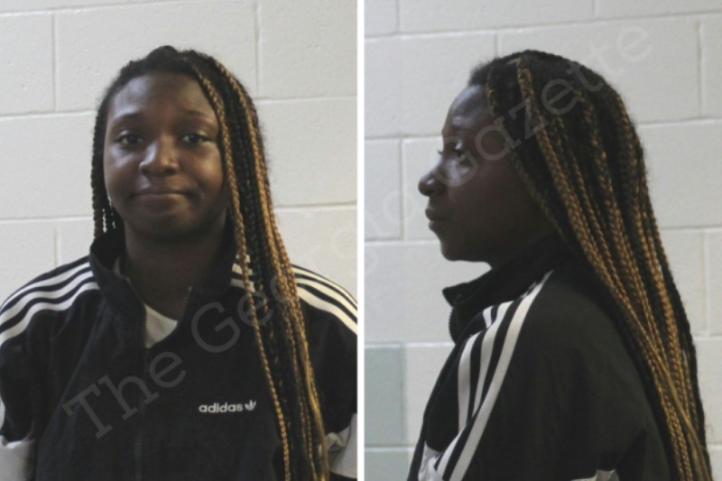 Yolanda Gibson — Houston County Jail Bookings