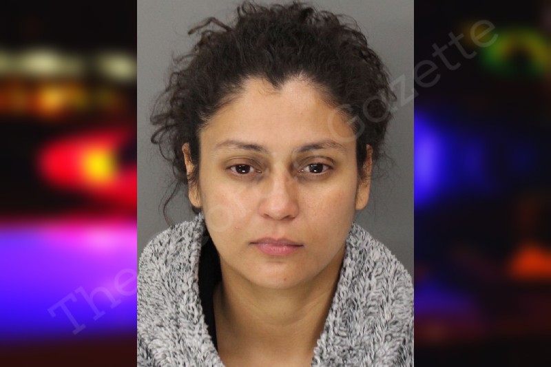 Maria Gonzalez — Cobb County Jail Bookings