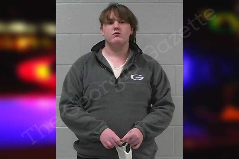 Nathaniel Hand — Gilmer County Jail Bookings