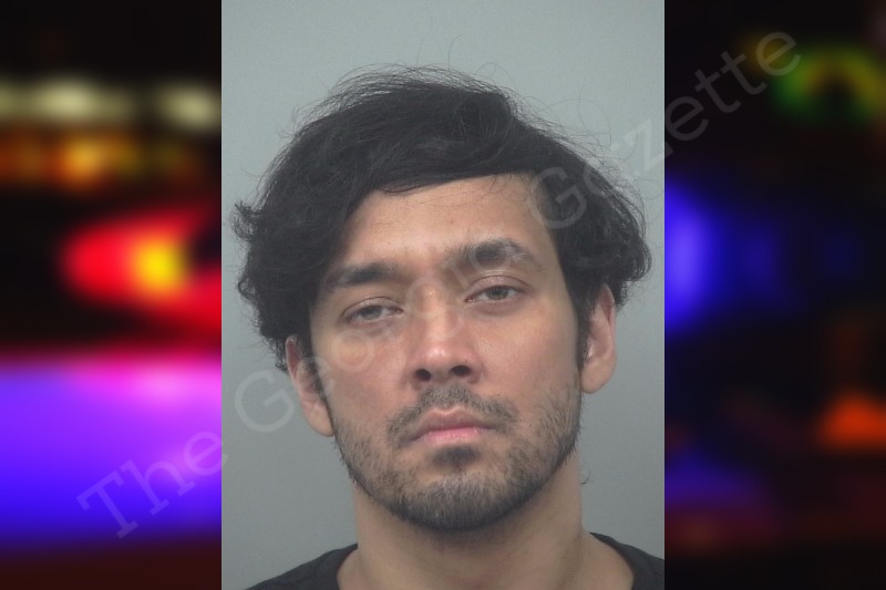 Syed Hashmi Gwinnett County Jail Bookings