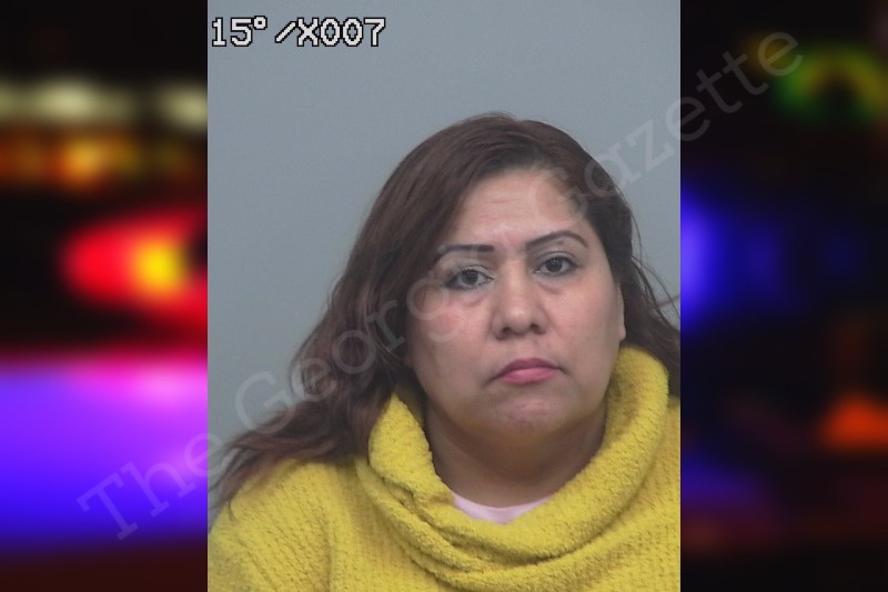 Petra Hernandez — Gwinnett County Jail Bookings