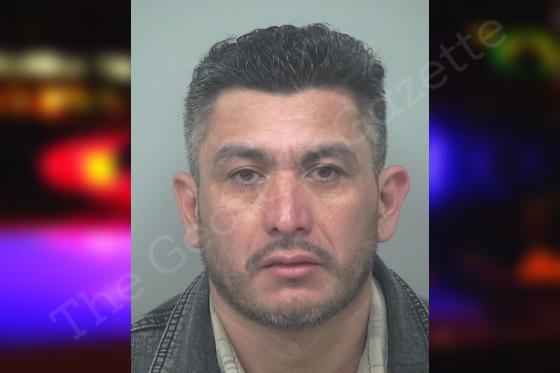 Rafael Hernandez — Gwinnett County Jail Bookings