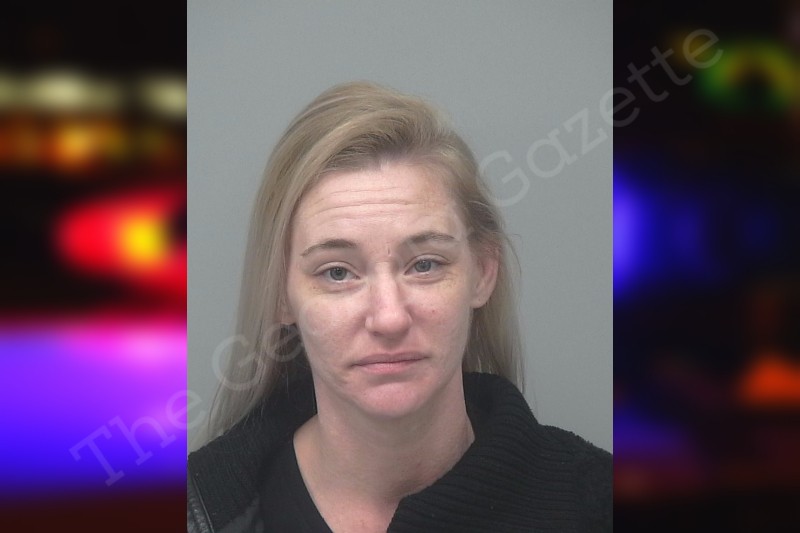 Brooke Holeman — Gwinnett County Jail Bookings