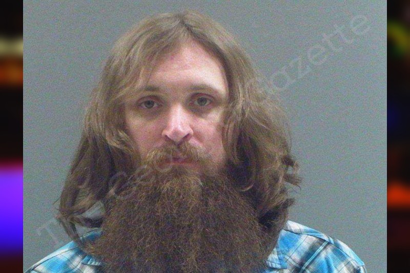 Brandon Hopkins — Rabun County Jail Bookings