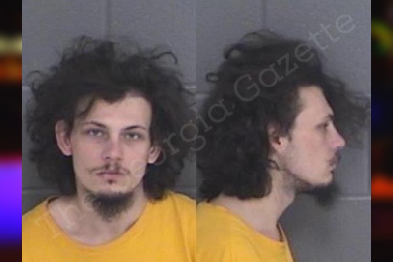 James Hardigree — Barrow County Jail Bookings
