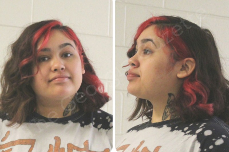 Julia Hunter — Houston County Jail Bookings