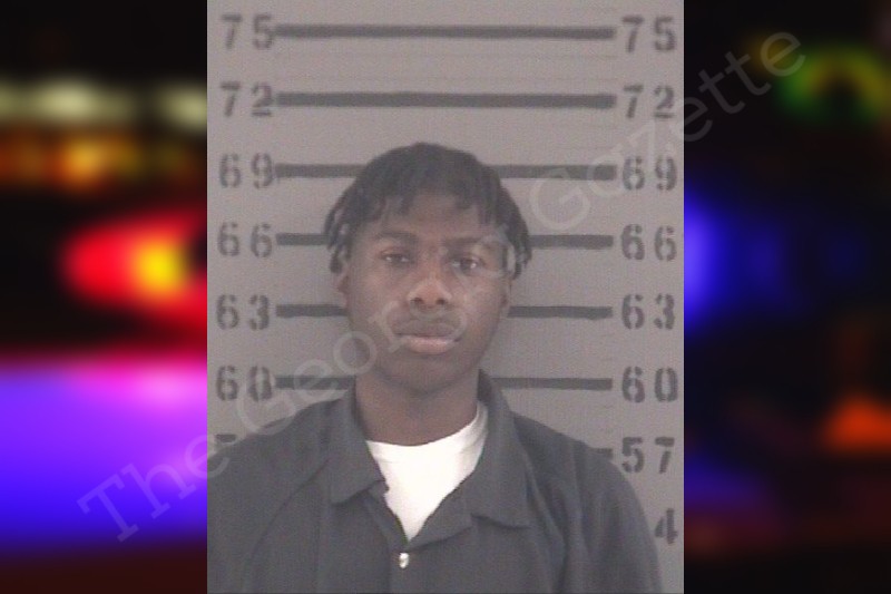Anthony Ingram — Dougherty County Jail Bookings