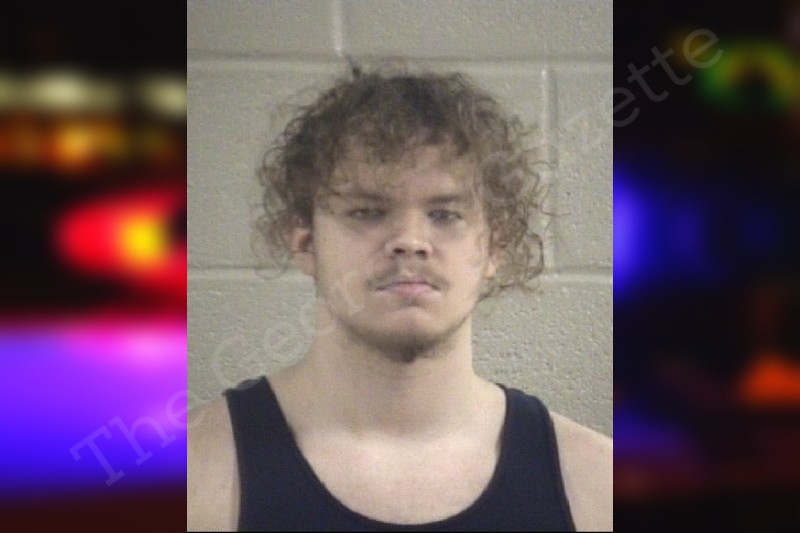 Jason Nicholson — Whitfield County Jail Bookings