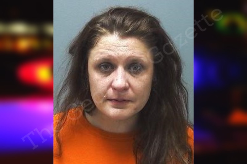 Jessica Key — Cherokee County Jail Bookings
