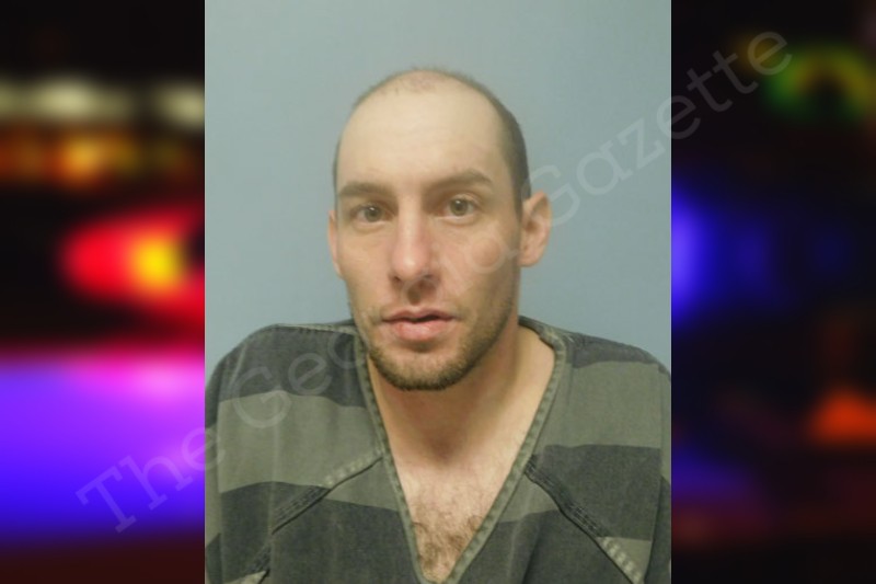 Nicholas Leone — Hall County Jail Bookings