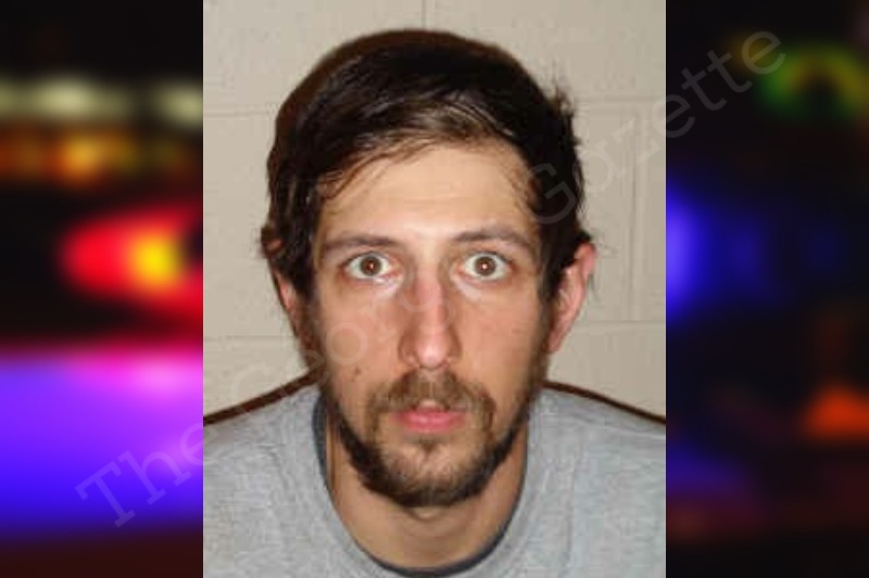 Tanner Little — Henry County Jail Bookings