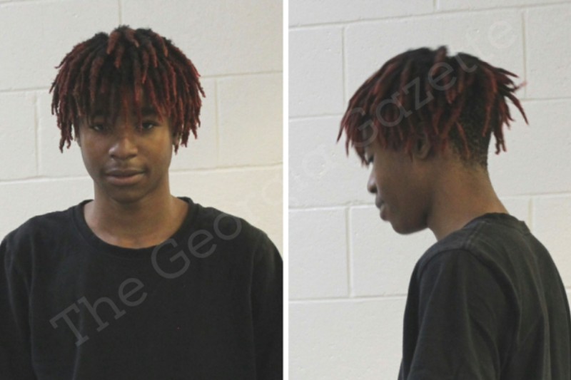 Elijah Lamar — Houston County Jail Bookings