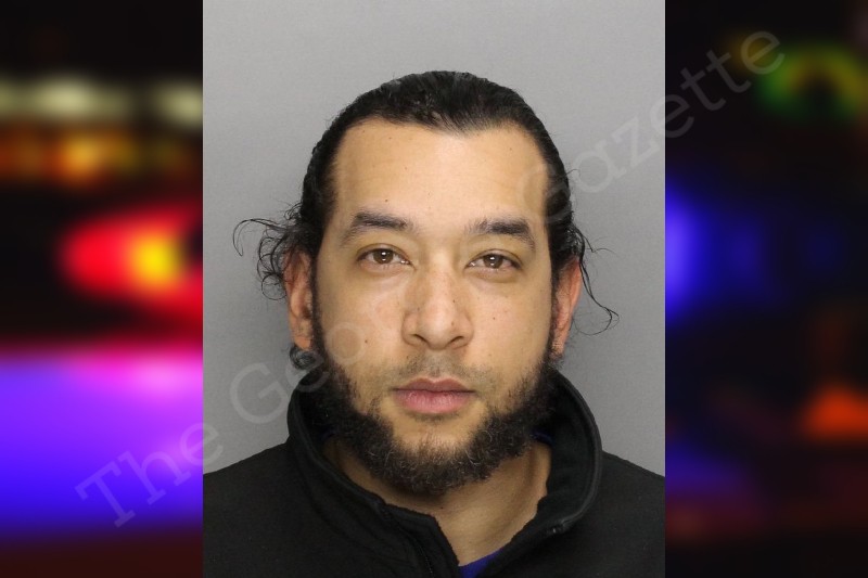 Matthew Loftus — Cobb County Jail Bookings