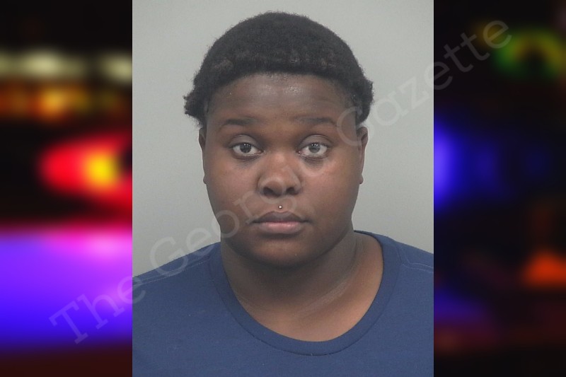 Morgan Mcghee — Gwinnett County Jail Bookings