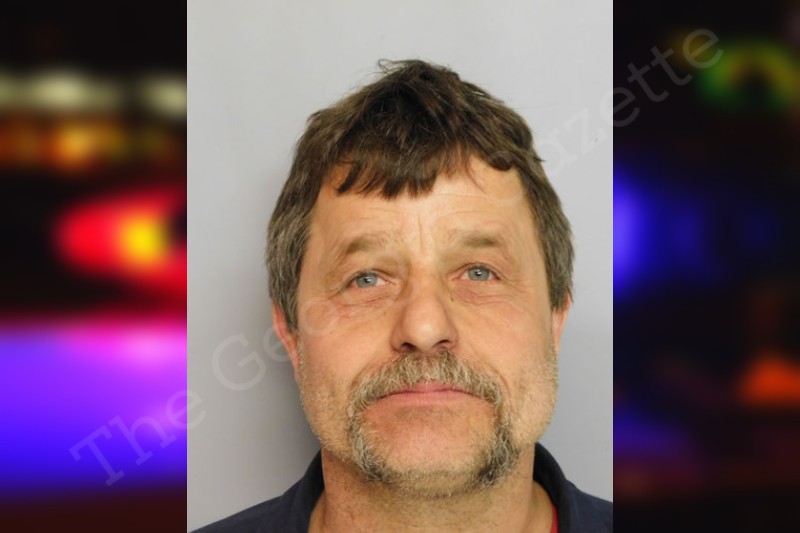 Lewis Miles — Hall County Jail Bookings