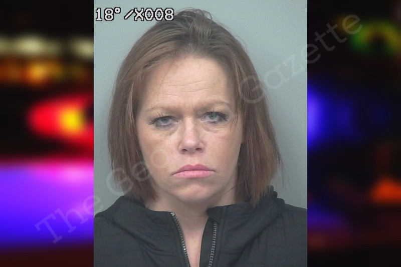 Rachel Miles — Gwinnett County Jail Bookings