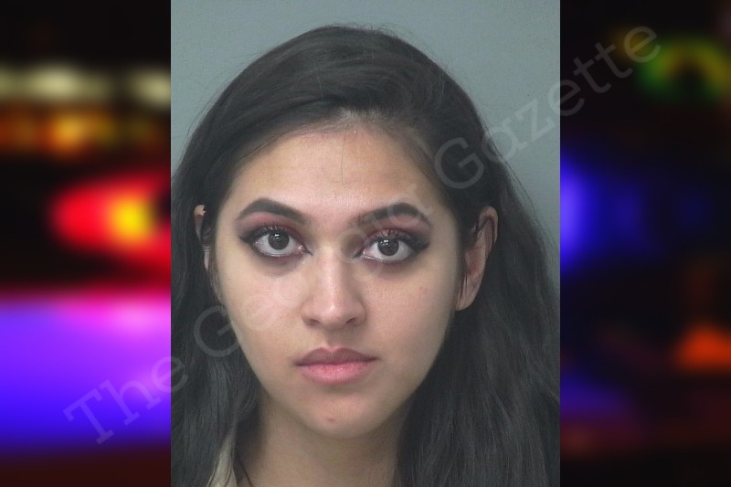 Nancy Mistry — Gwinnett County Jail Bookings