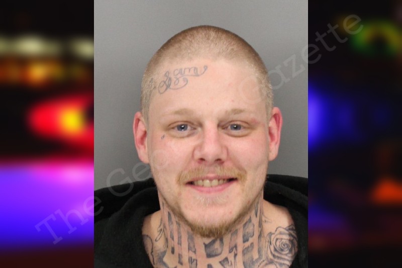 Michael Martin — Cobb County Jail Bookings