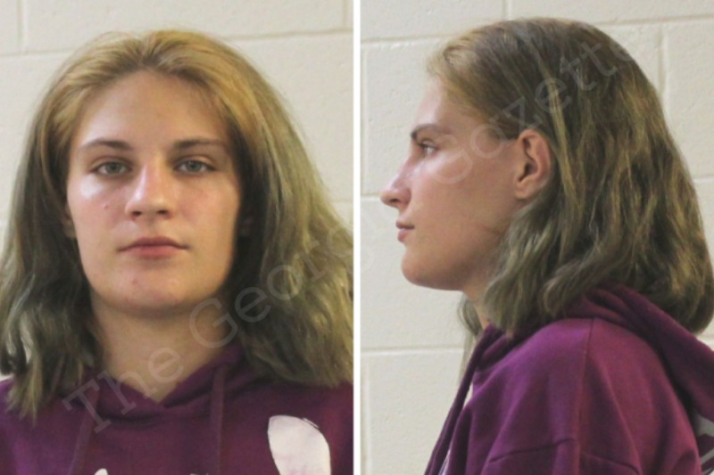 Robyn Mccomb — Houston County Jail Bookings